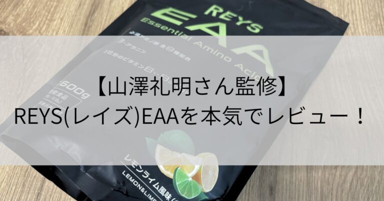 REYS（レイズ）EAAを本気でレビュー！【山澤礼明さん監修】 - Mandays